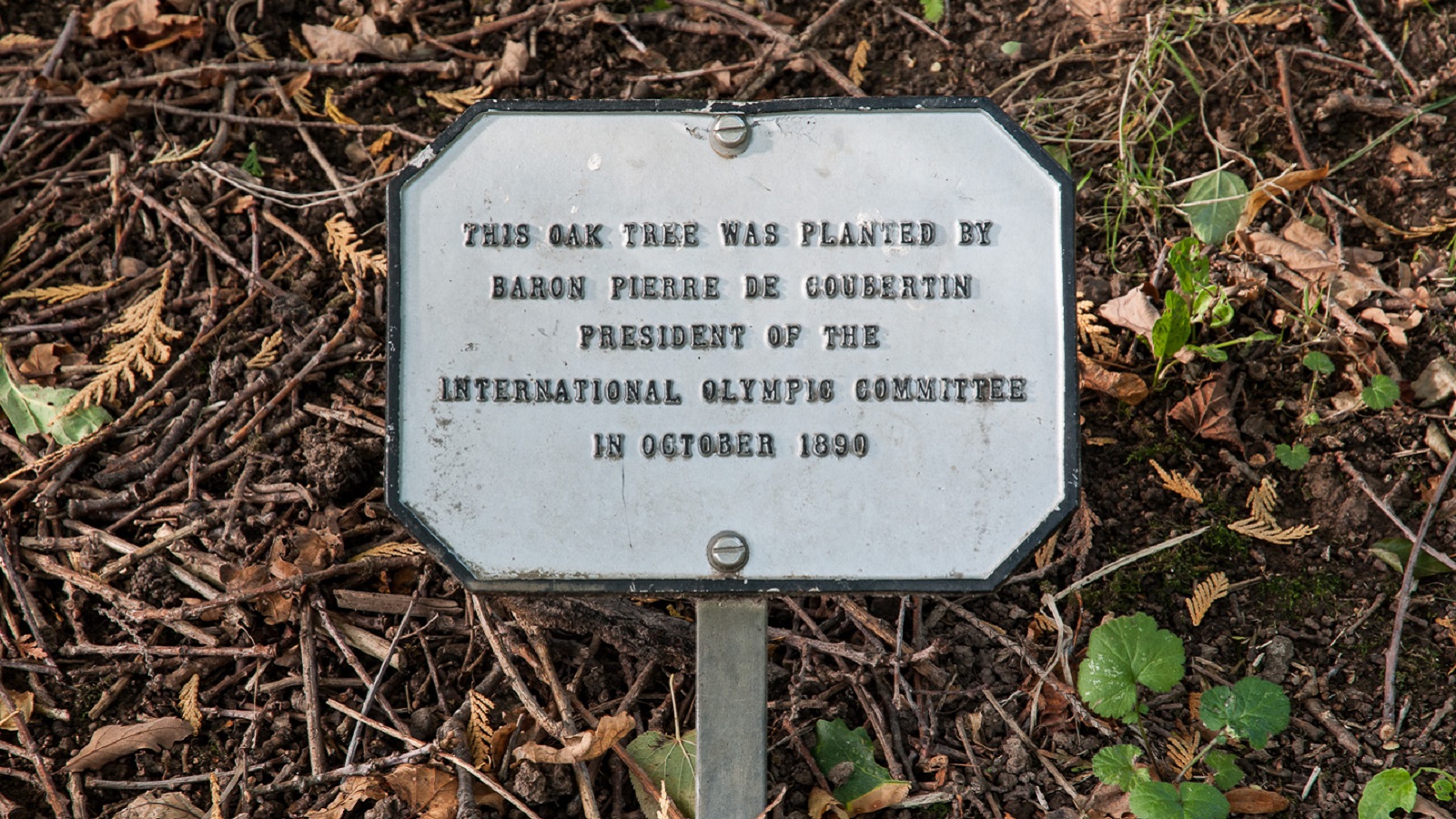 Much Wenlock: The Small English Town Behind the Modern Olympic Games ...